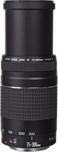 Canon EF 75-300mm f/4-5.6 III Telephoto Zoom Lens Review - JakeSon.net